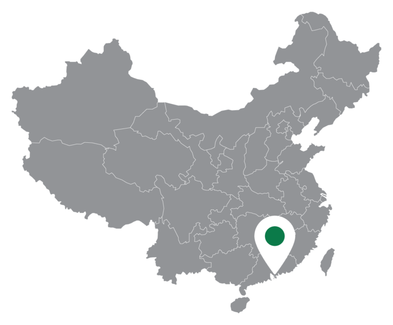 AlignRT Improves Efficiency and Accuracy - Vision RT